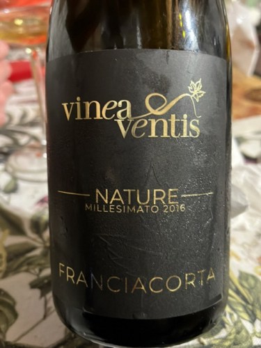 Vinea Ventis Franciacorta Nature | Vivino US