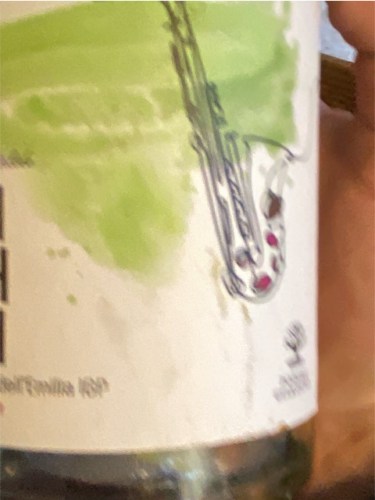 2021 Podere Giardino Suoli Cataldi Malvasia dell'Emilia | Vivino US