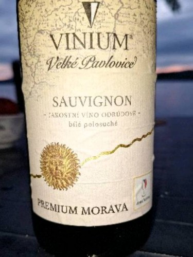 Vinium Premium Morava Sauvignon | Vivino US