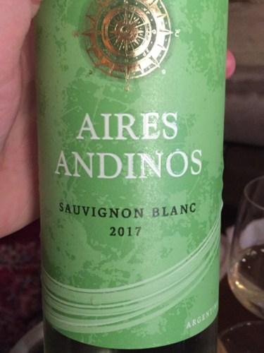 Aires Andinos Sauvignon Blanc | Vivino US
