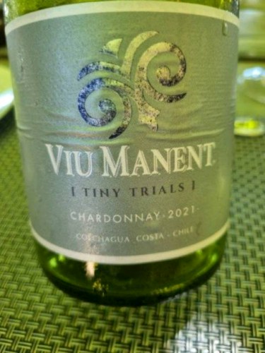 2021 Viu Manent Tiny Trials Chardonnay | Vivino US