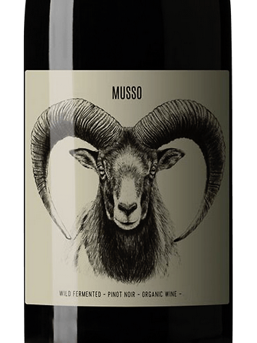Casa Rojo Musso Pinot Noir | Vivino US