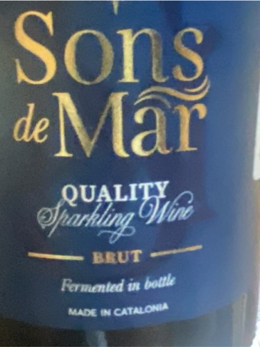 Josep Masachs Tradicional Sons de Mar Brut | Vivino English