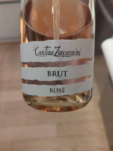 Cantina Zaccagnini Brut Rosé | Vivino English