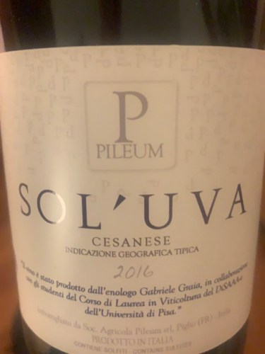 Pileum Sol'Uva Cesanese | Vivino