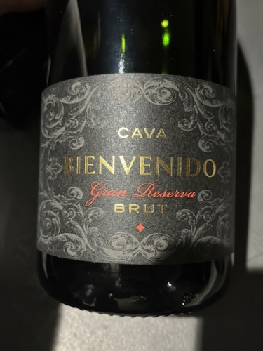 Bienvenido Cavas Cava Gran Reserva Brut | Vivino US
