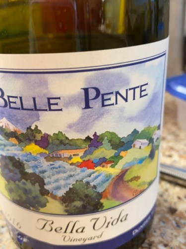 Belle Pente Bella Vida Vineyard Pinot Noir | Vivino English