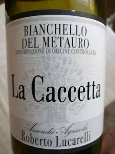 Roberto Lucarelli La Caccetta Bianchello del Metauro | Vivino US