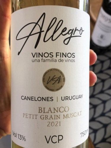 Allegro Blanco Petit Grain Muscat | Vivino US
