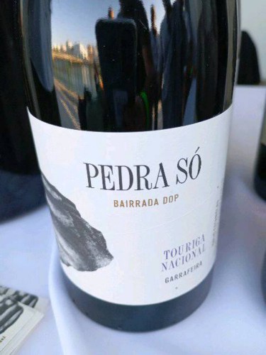 Idálio Estanislau Wines Pedra Só Touriga Nacional | Vivino US
