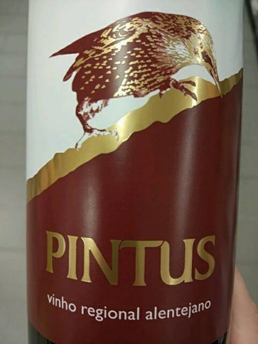 Pintus Tinto | Vivino Português (Brasil)