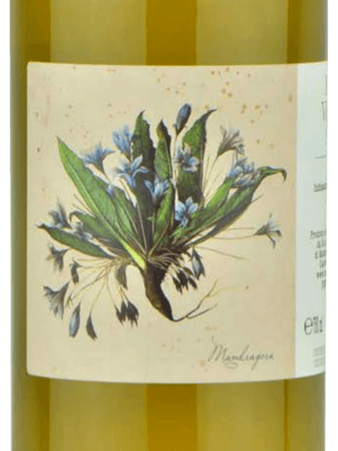 Marta Valpiani Delyus Bianco | Vivino English
