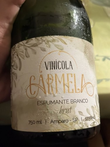 Vinícola Carmela Espumante Branco Brut | Vivino US