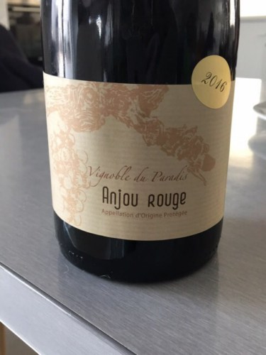 Vignobles du Paradis Anjou Rouge | Vivino US