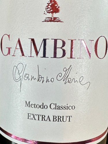 Gambino Vini Metodo Classico Extra Brut | Vivino US