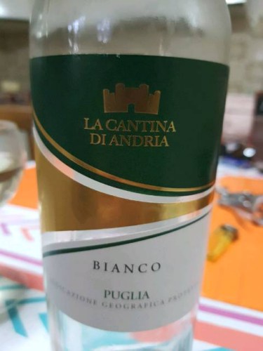 Cantina Vignuolo Puglia Bianco | Vivino US