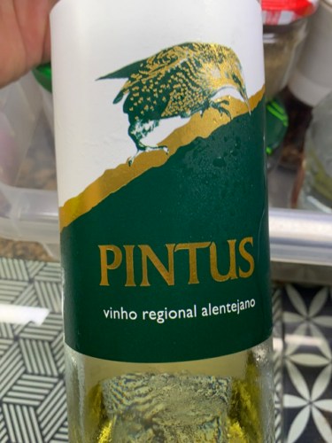 Pintus Branco | Vivino US