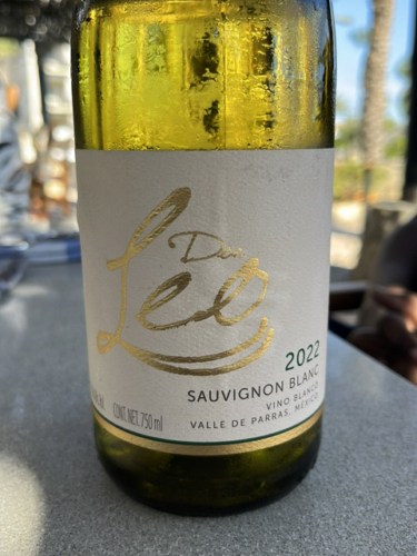 Don Leo Sauvignon Blanc | Vivino English