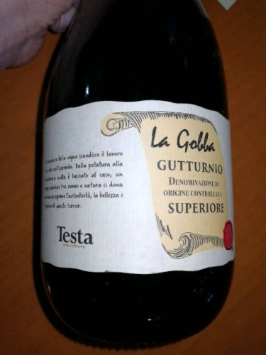 Casa Vinicola Testa La Gobba Gutturnio Superiore | Vivino US
