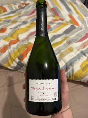 Pascal Nolin Champagne Millesime Brut | Vivino US