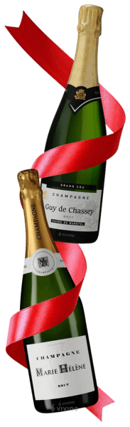 N.V. Valentine's Day Champagne Two-Pack | Vivino US