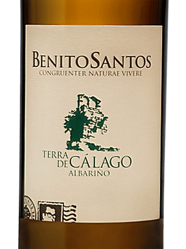 2021 Benito Santos Terra de Cálago Albarino | Vivino US