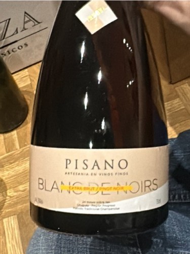 Pisano Blanc de Noirs Extra Brut Pinot Noir | Vivino English