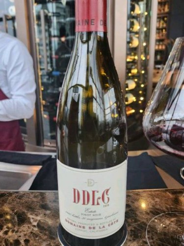 2020 Domaine de la Côte DDLC Pinot Noir | Vivino US
