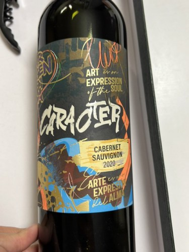 Bodegas Santa Ana Caracter Cabernet Sauvignon | Vivino English