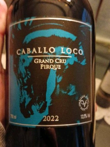 Caballo Loco Grand Cru Pirque | Vivino US