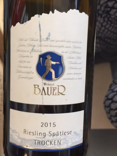 Weingut Bauer Riesling Spätlese Trocken | Vivino US