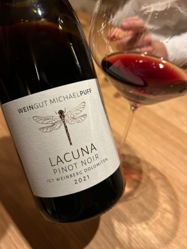 Weingut Michael Puff Lacuna Pinot Noir | Vivino US