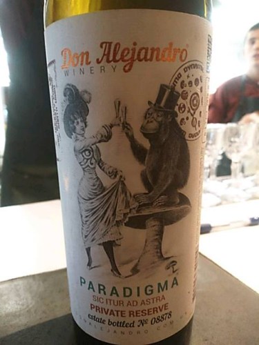 Don Alejandro Winery Paradigma Private Reserve | Vivino US