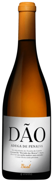 Adega de Penalva Bical | Vivino US