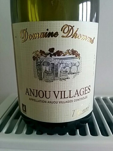 Domaine Dhommé Anjou Villages | Vivino US