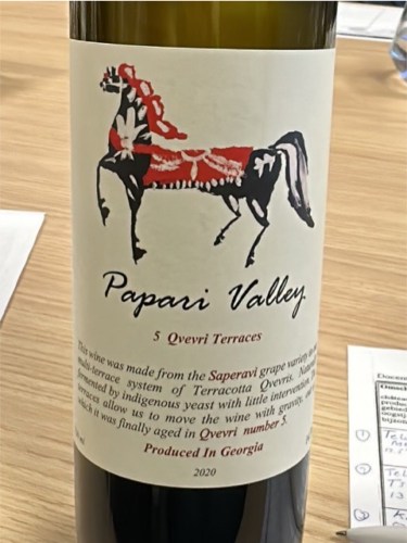 Papari Valley 5 Qvevri Terraces Saperavi | Vivino US