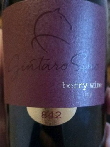 Gintaro Sino Berry wine 842 | Vivino English