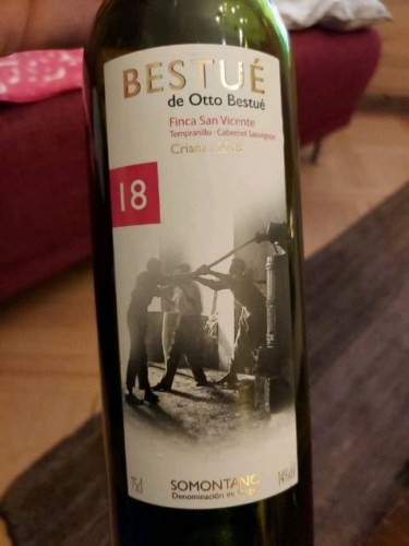 Bodega Otto Bestué Finca San Vicente Crianza | Vivino US
