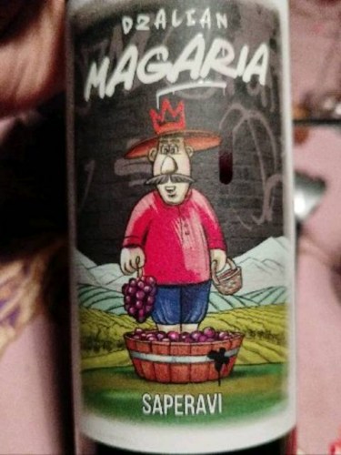 Shilda Magaria Saperavi | Vivino US