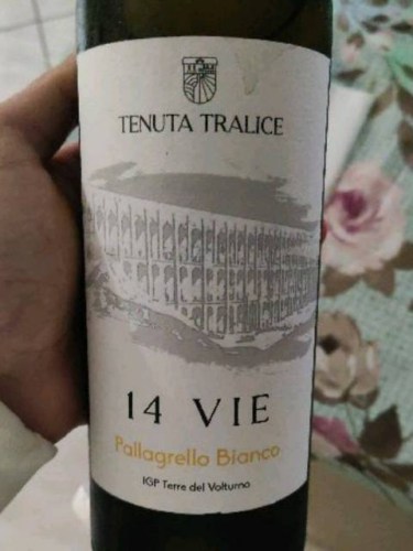 Tenuta Tralice 14 Vie Pallagrello Bianco | Vivino US