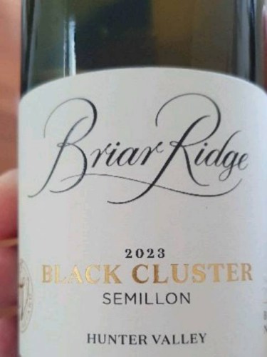 Briar Ridge Black Cluster Semillon | Vivino English