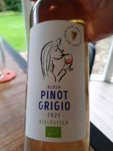 2020 Jumbo Selectie Pinot Grigio Blush Bio | Vivino US