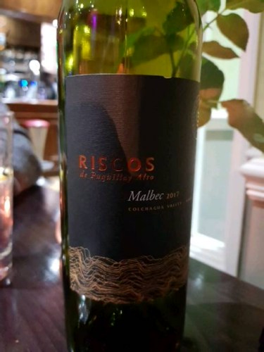 2017 Riscos de Puquillay Alto Malbec | Vivino US