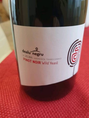 Jelna Dealu’ Negru Pinot Noir Wild Yeast | Vivino US