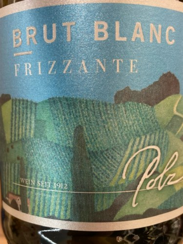 Weingut Erich & Walter Polz Brut Blanc | Vivino US