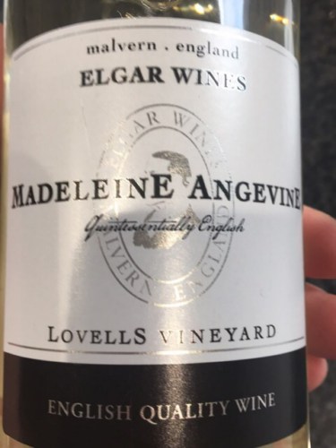 Lovells Vineyard - Elgar Wines Madeleine Angevine | Vivino Brasil