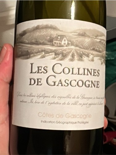 Les Collines de Gascogne Côtes de Gascogne Blanc | Vivino English