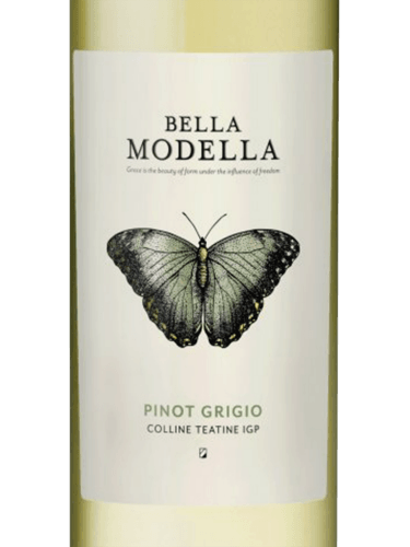 Bella Modella Pinot Grigio | Vivino English