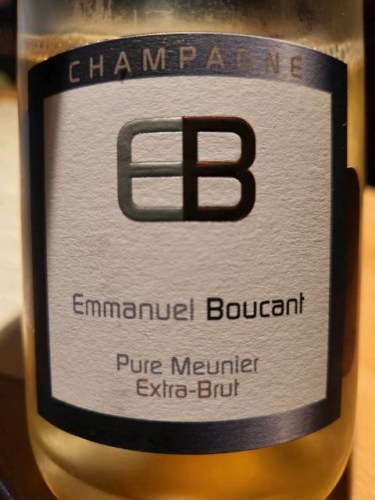 Champagne Emmanuel Boucant Pure Meunier Extra Brut Champagne | Vivino US