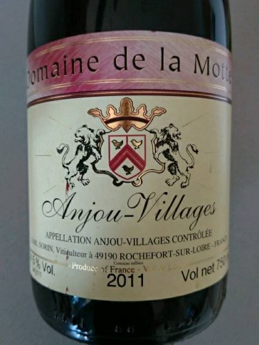 Domaine de la Motte Anjou-Villages Rouge | Vivino US